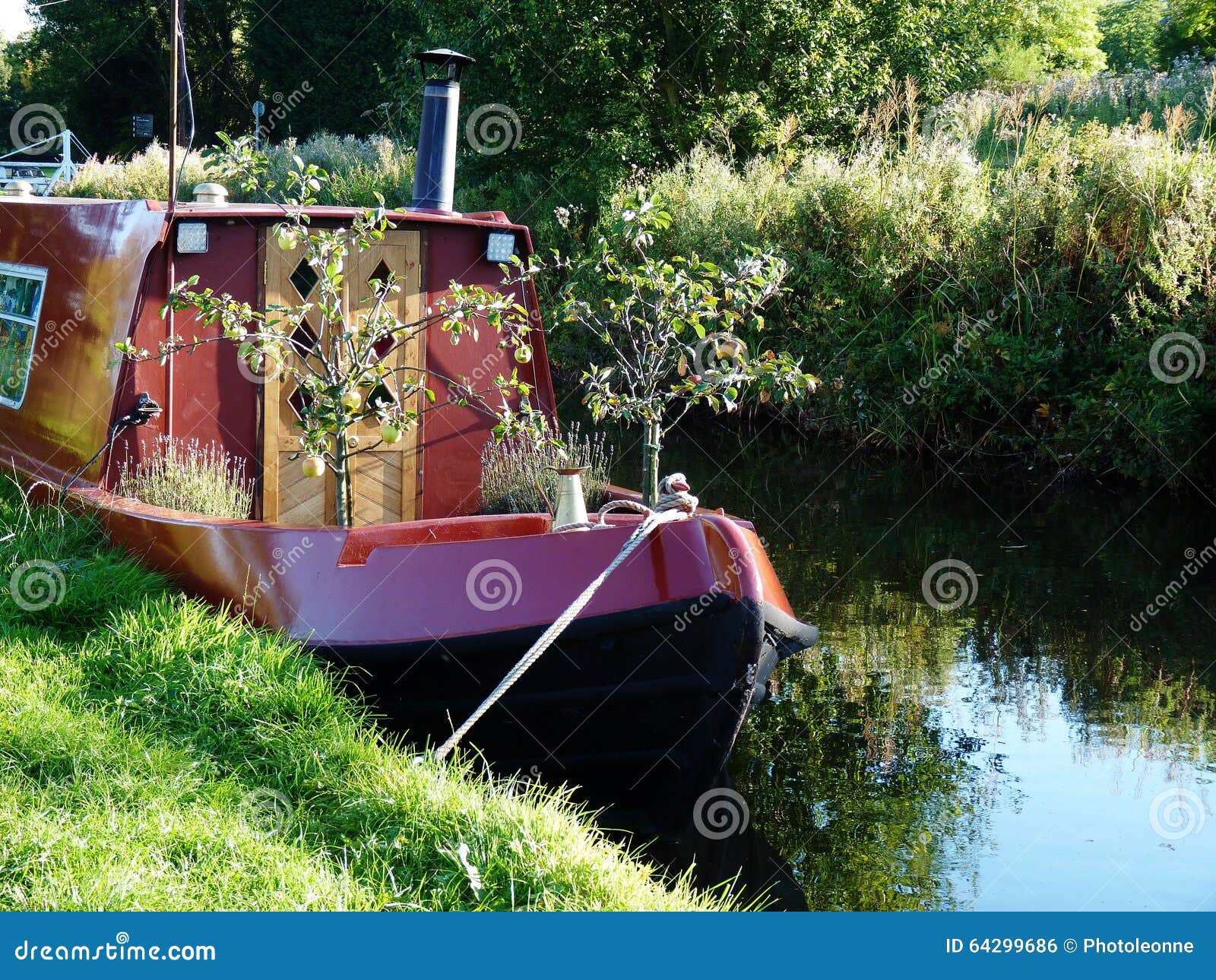 Canal Barge with Small Fruit Trees Growing River Stock Photo - Image of ...