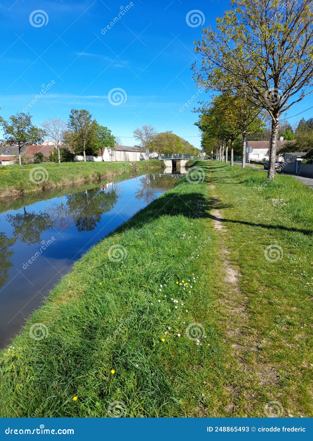 River of Berry and Tree and Grass Stock Image - Image of water ...