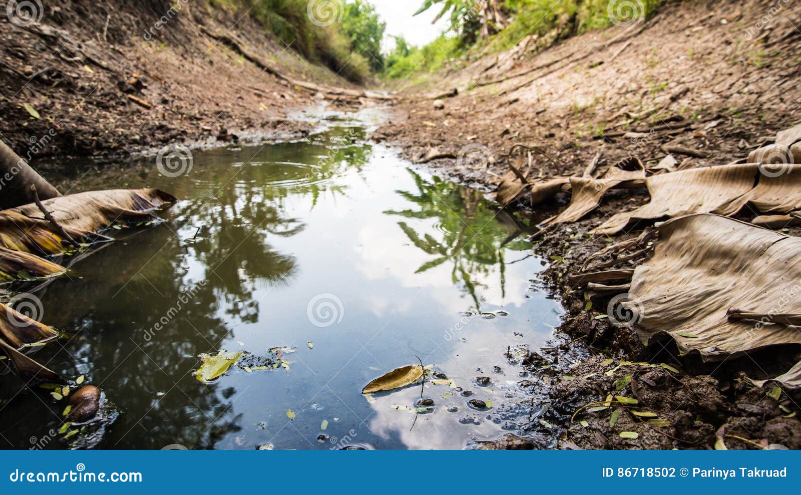 Canal with Low Water Level because of the Drought Stock Photo - Image ...