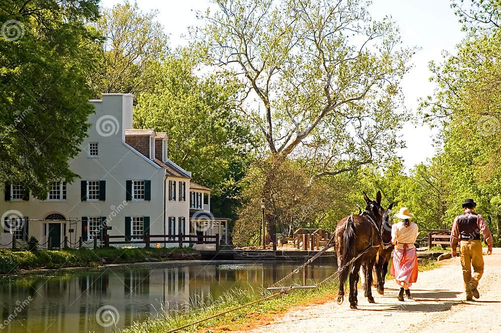Canal mule team stock image. Image of mule, dragging, drag - 2370245