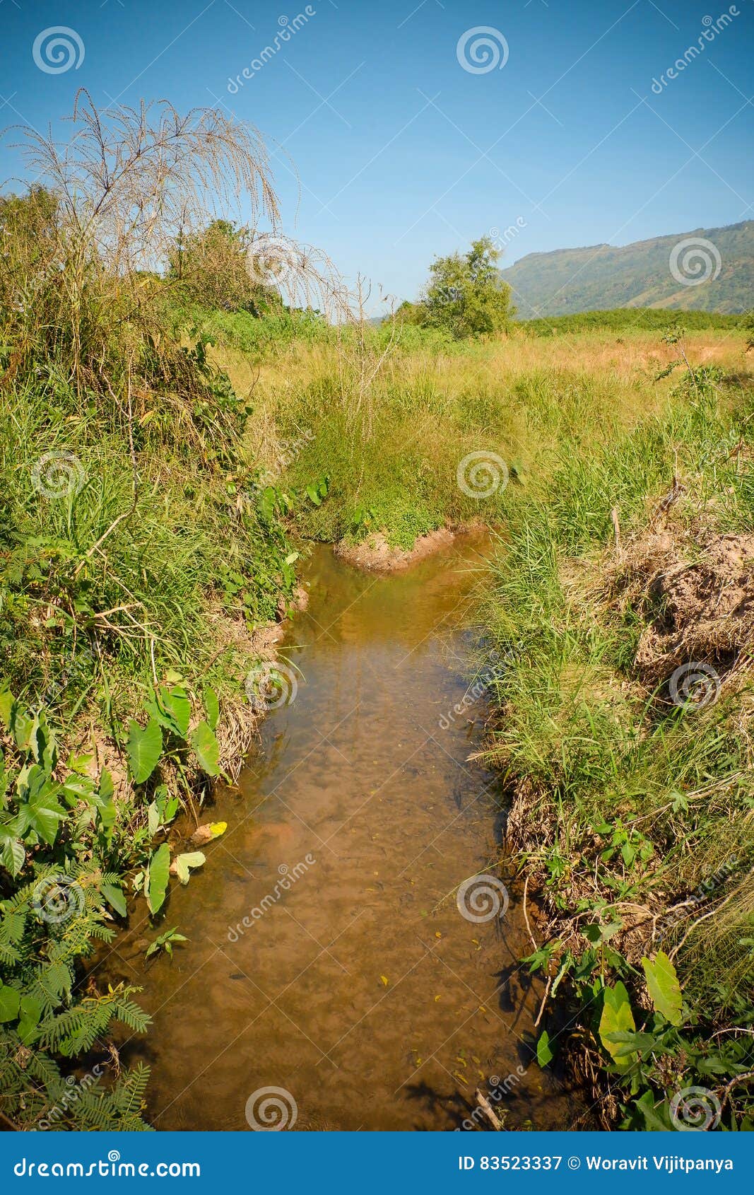 Canal Nature - Clay Check Dam Stock Image - Image of blue, forests ...