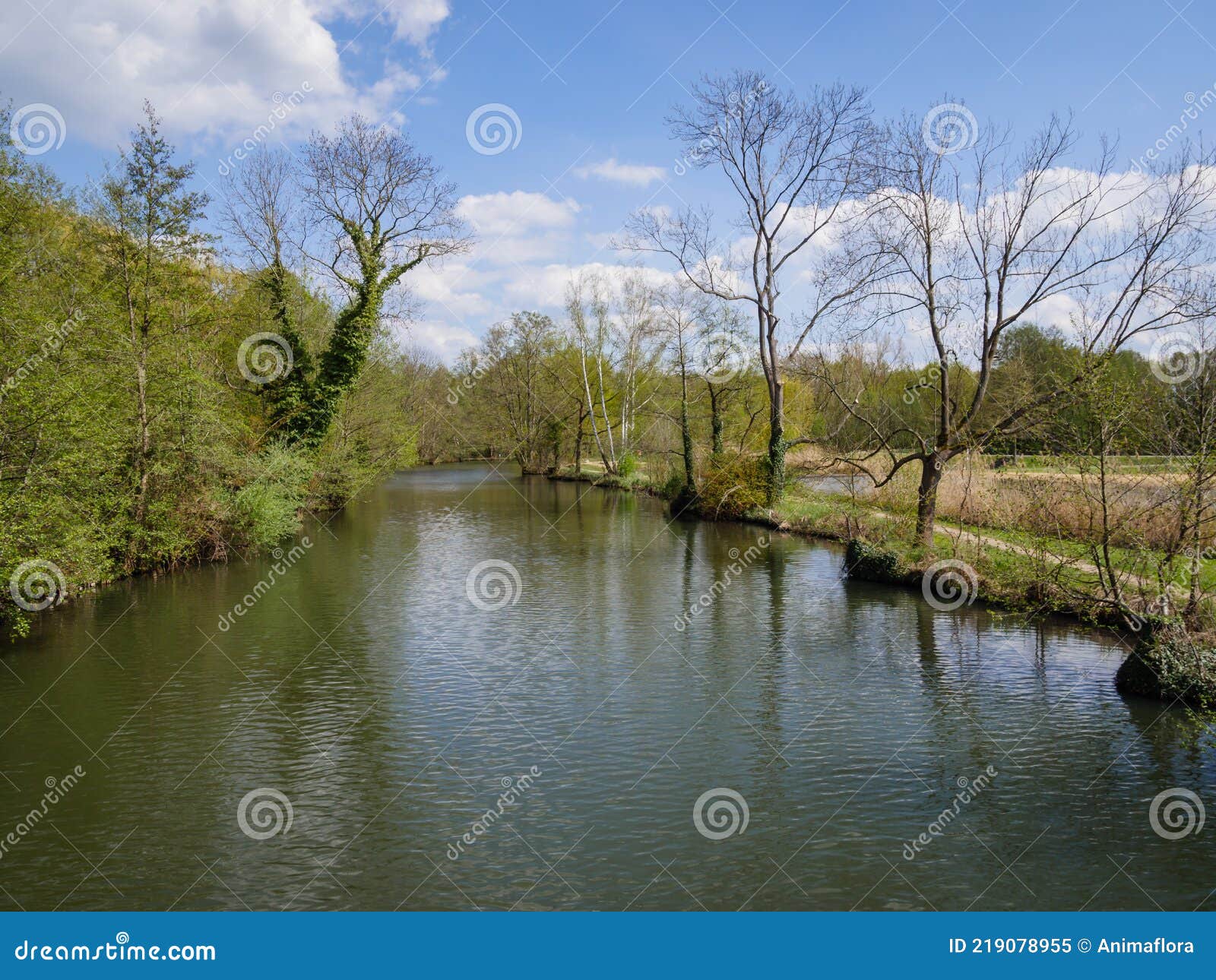 Canal of the Spree in the Spreewald Stock Image - Image of recreation ...