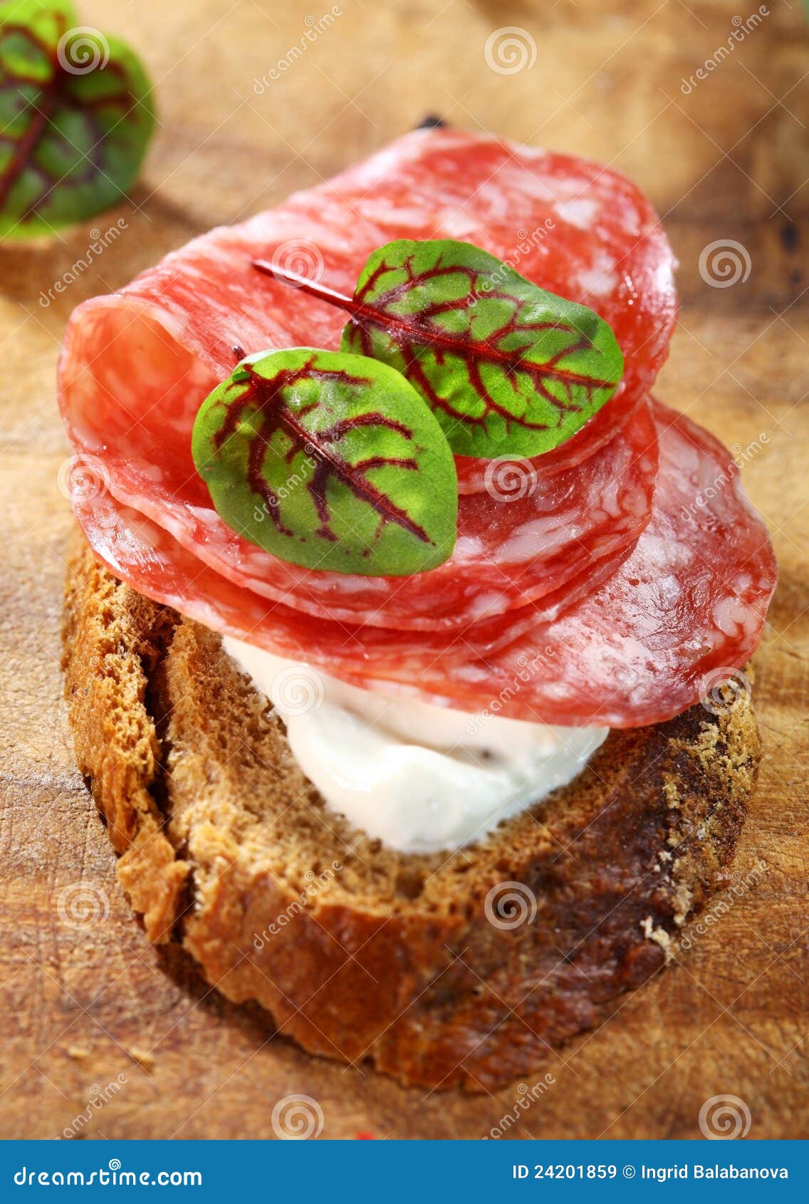 Canape stock image. Image of prosciutto, rustic, peperoni - 24201859
