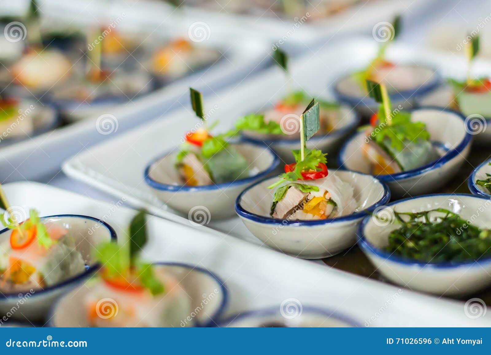 Canape with Fresh Spring Rolls. Stock Photo - Image of carrot, healthy ...