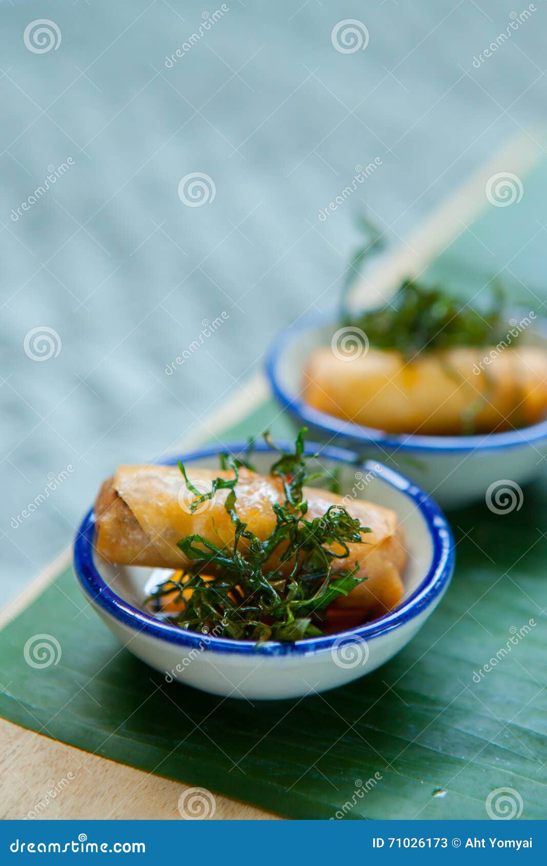 Canape with Fried Spring Rolls Stock Image - Image of vietnamese, plate ...