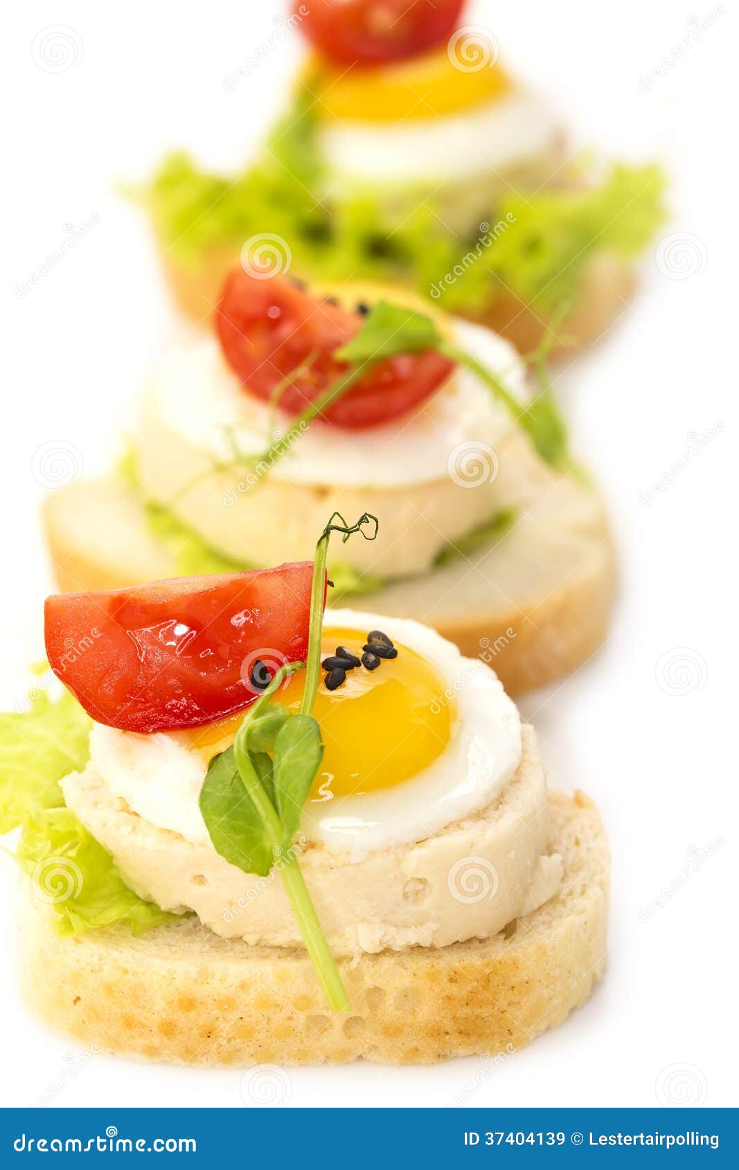 Canape stock image. Image of plate, pomegranates, buffet - 37404139