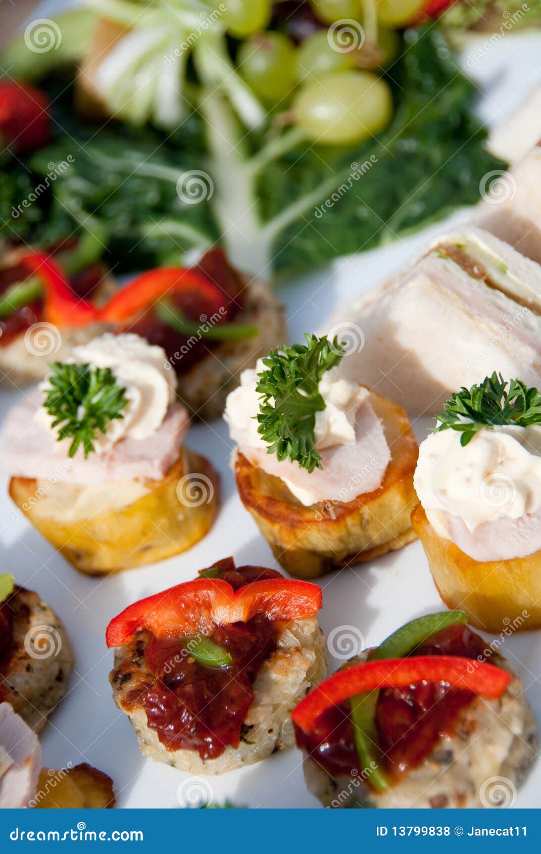 Canapes & fruit stock photo. Image of decoration - 13799838