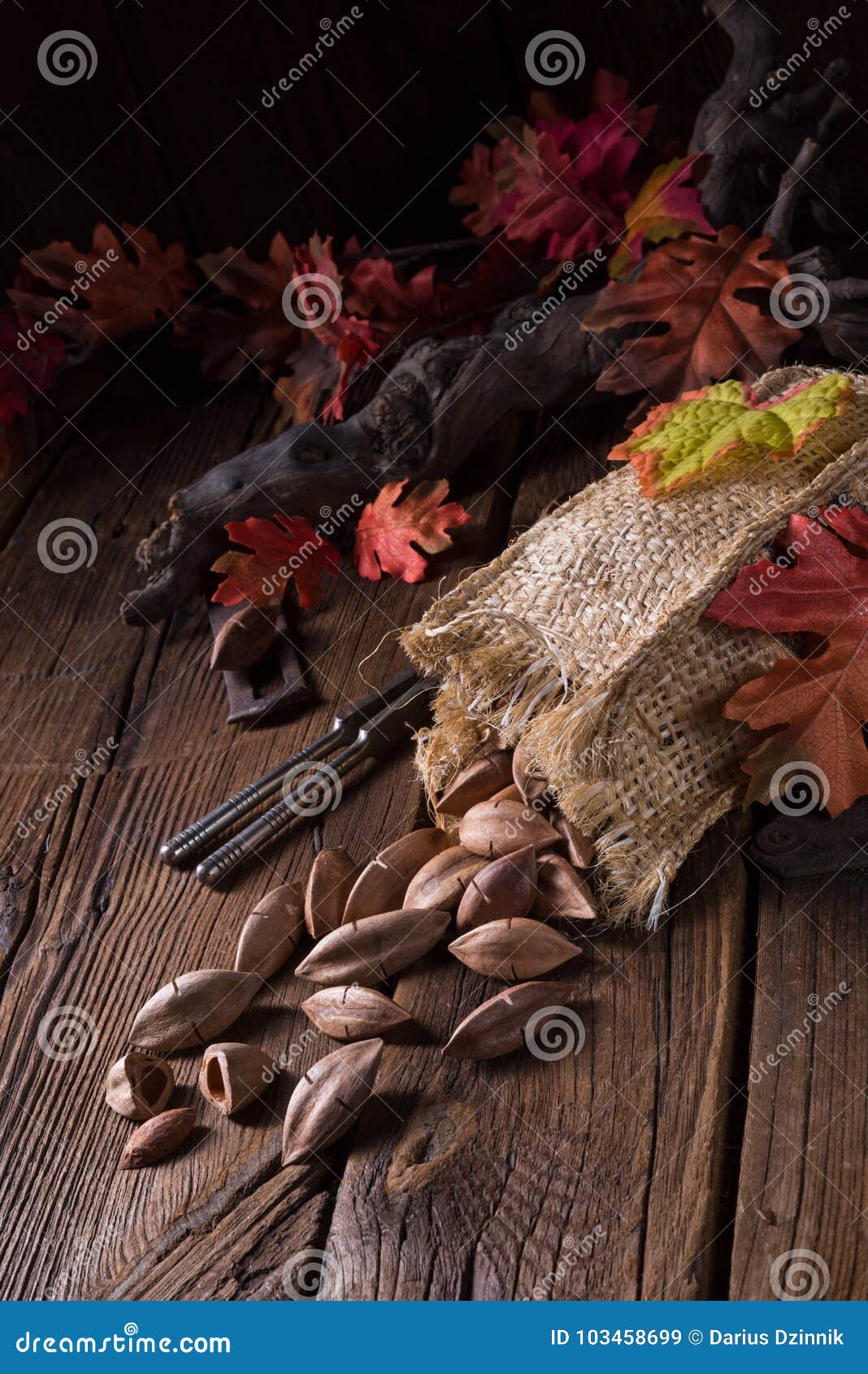 Canarium Ovatum, Commonly Known As Pili Is A Species Of Tropical ...