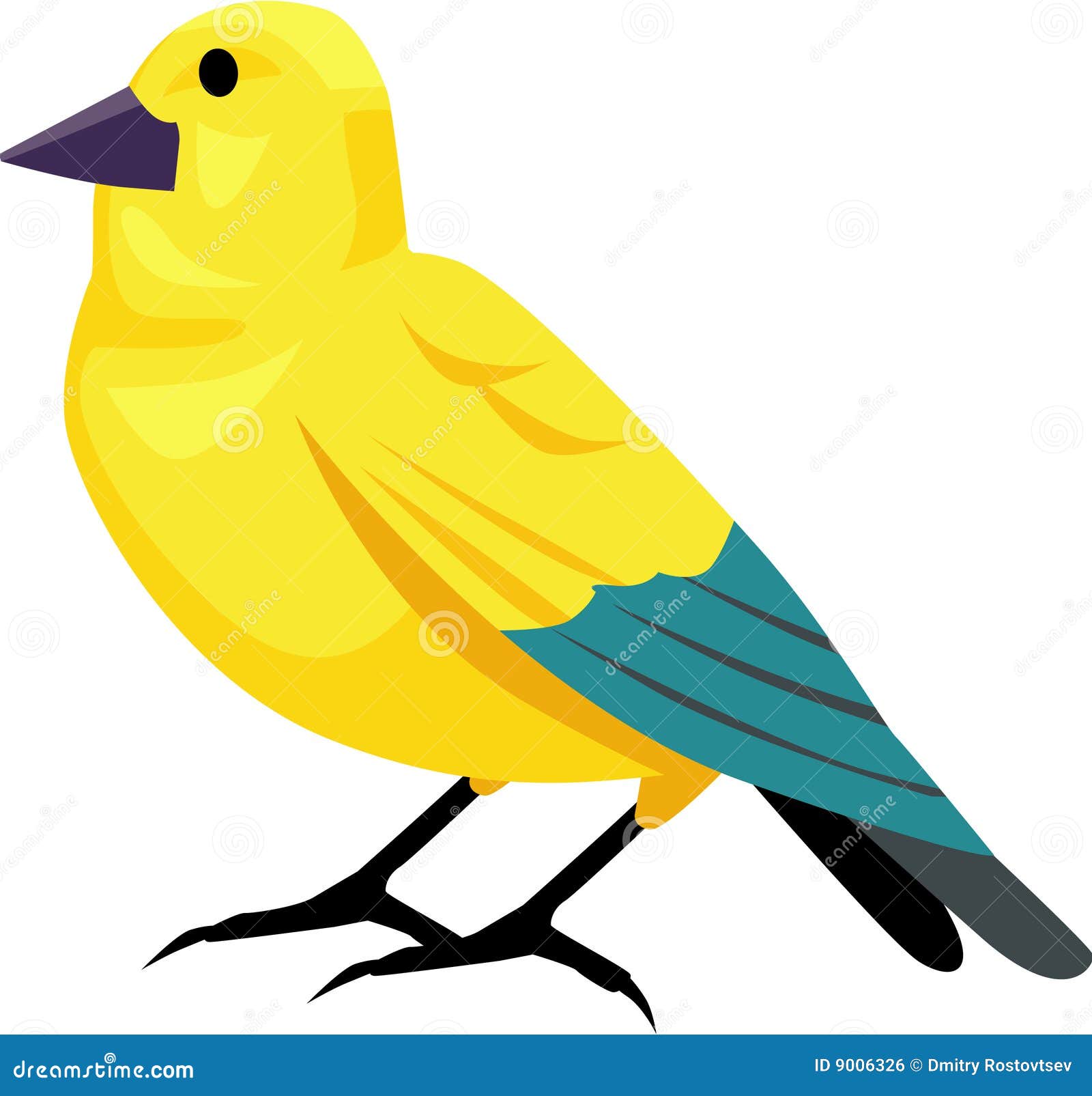 Canary bird stock vector. Image of animal, nature, feathers - 9006326