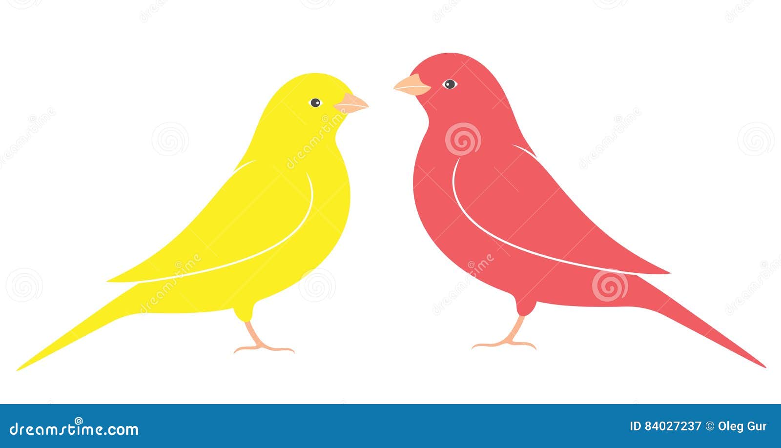 Canary. Bird stock vector. Illustration of baby, funny - 84027237