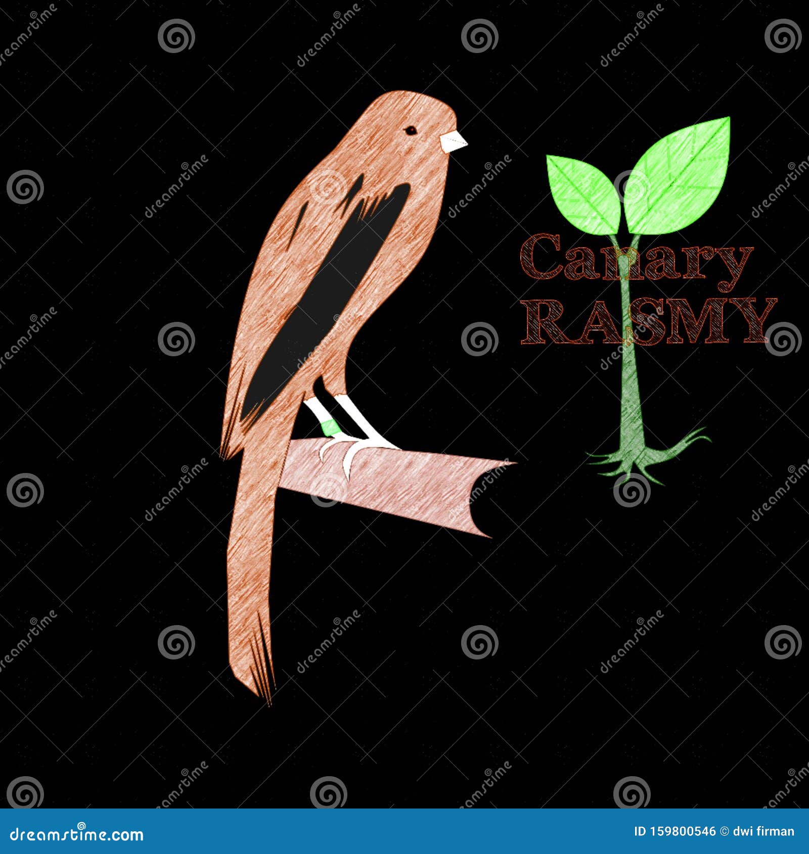 Canary Icon. Trendy Modern Flat Linear Vector Canary Icon On White ...