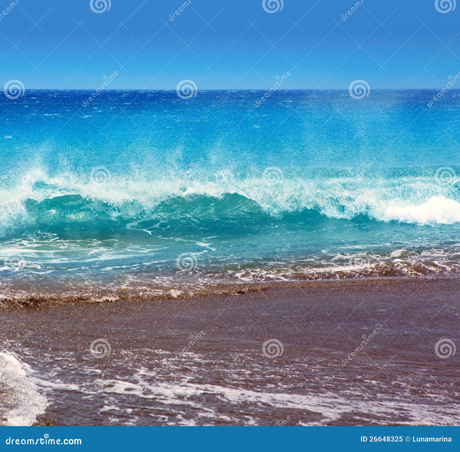 Canary Islands Brown Sand Beach Rough Turquoise Waves Stock Image ...