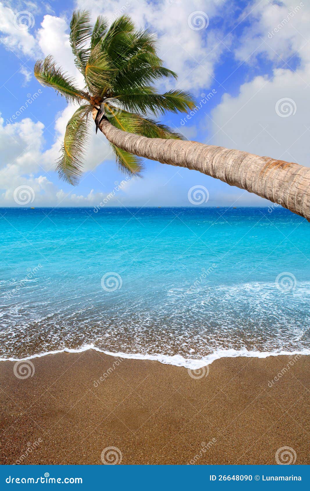 Canary Islands Brown Sand Beach Tropical Aqua Stock Photo - Image of ...