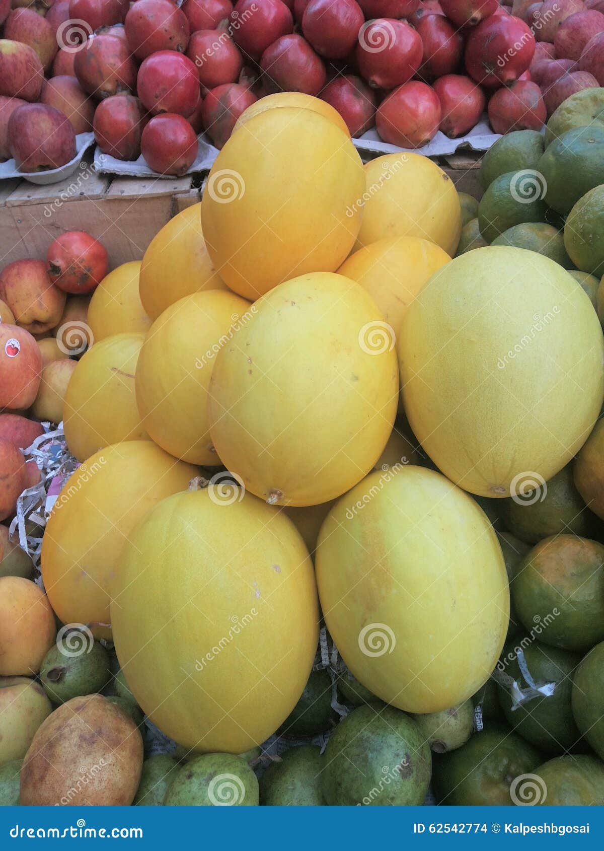 Canary melon stock photo. Image of fruits, melons, canary - 62542774