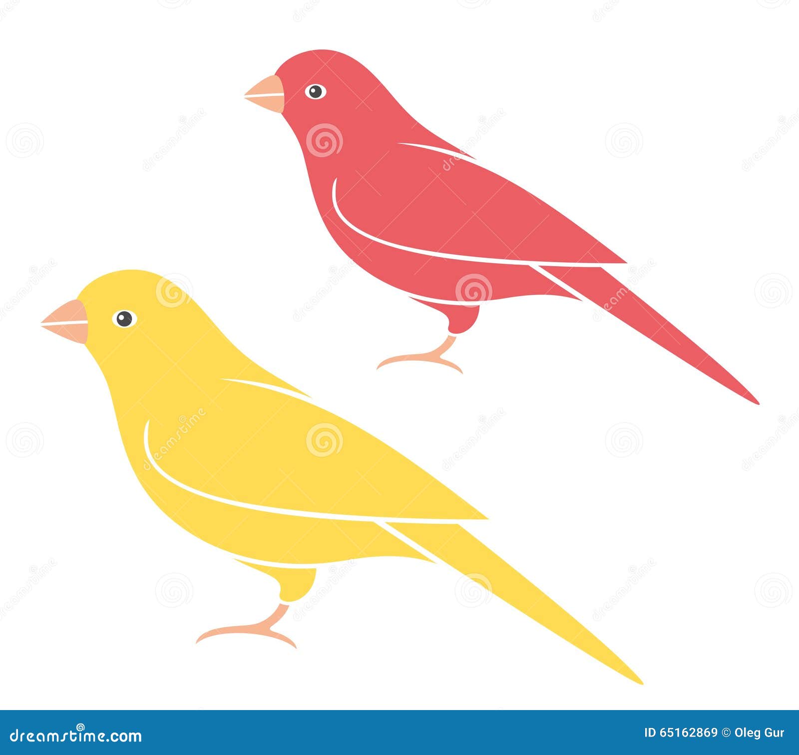 Canary. Set. Bird. stock vector. Illustration of exotic - 65162869