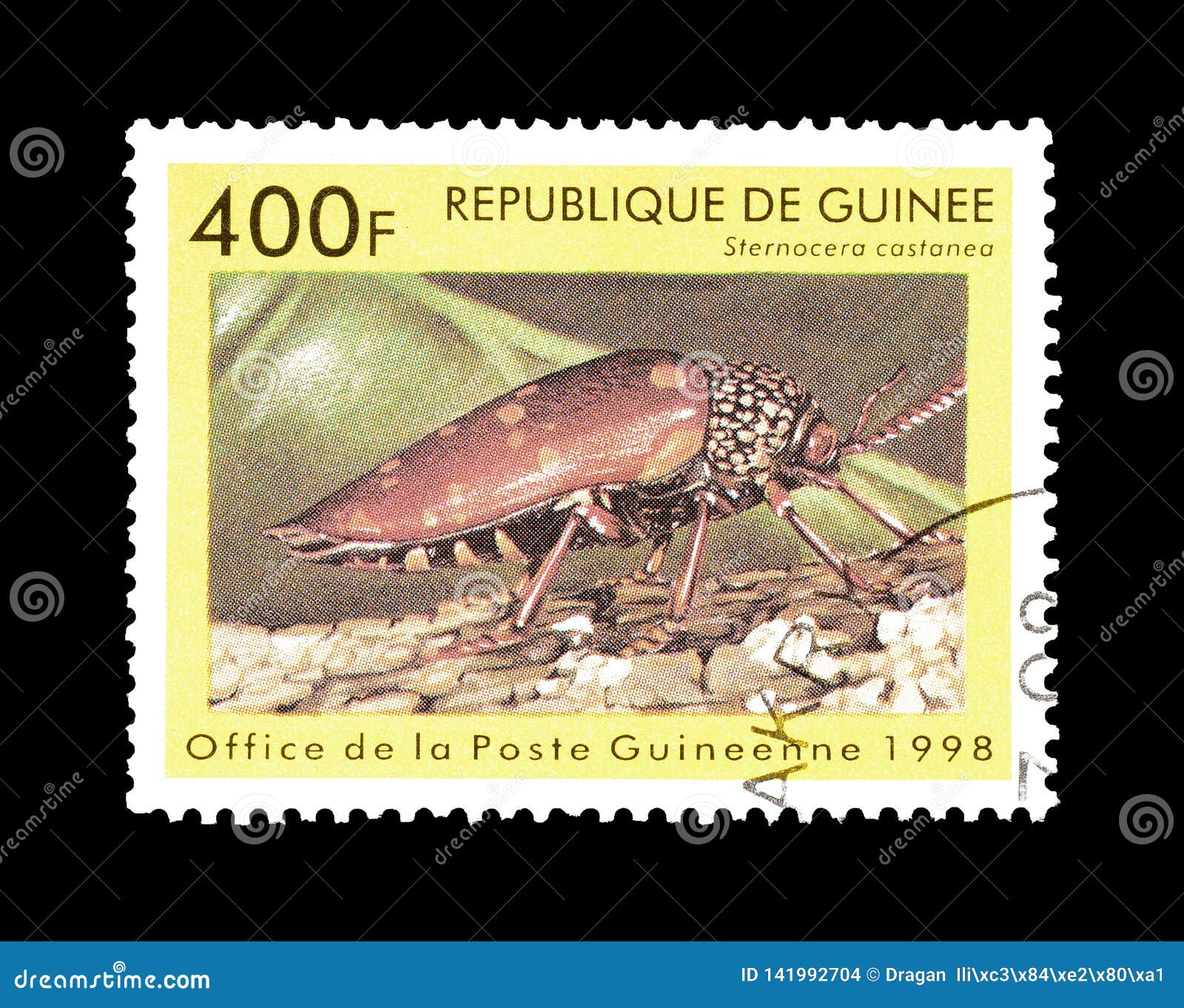 Beetles On Postage Stamps Editorial Image | CartoonDealer.com #141992704