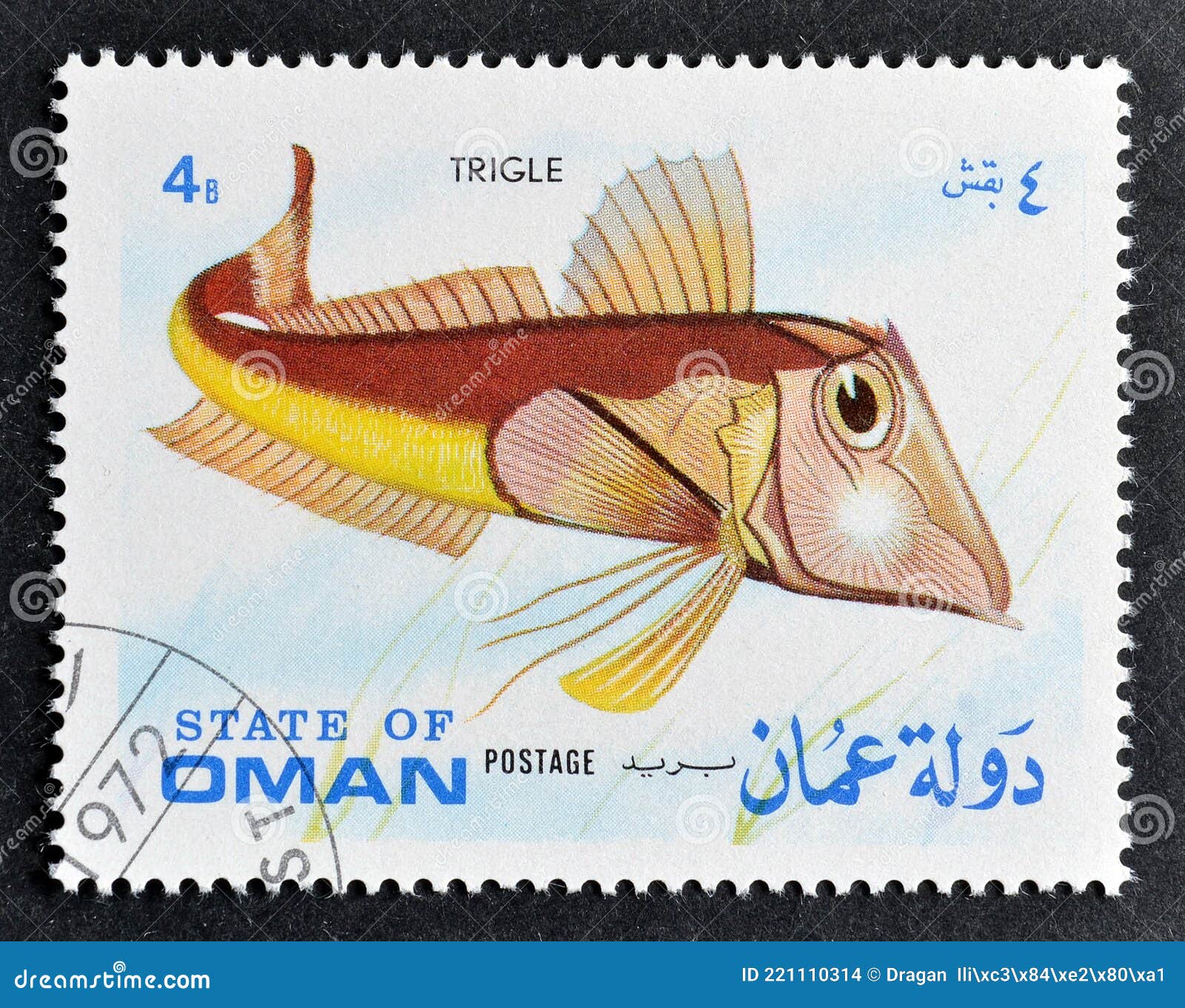 Trigle Fish Photos - Free & Royalty-Free Stock Photos from Dreamstime