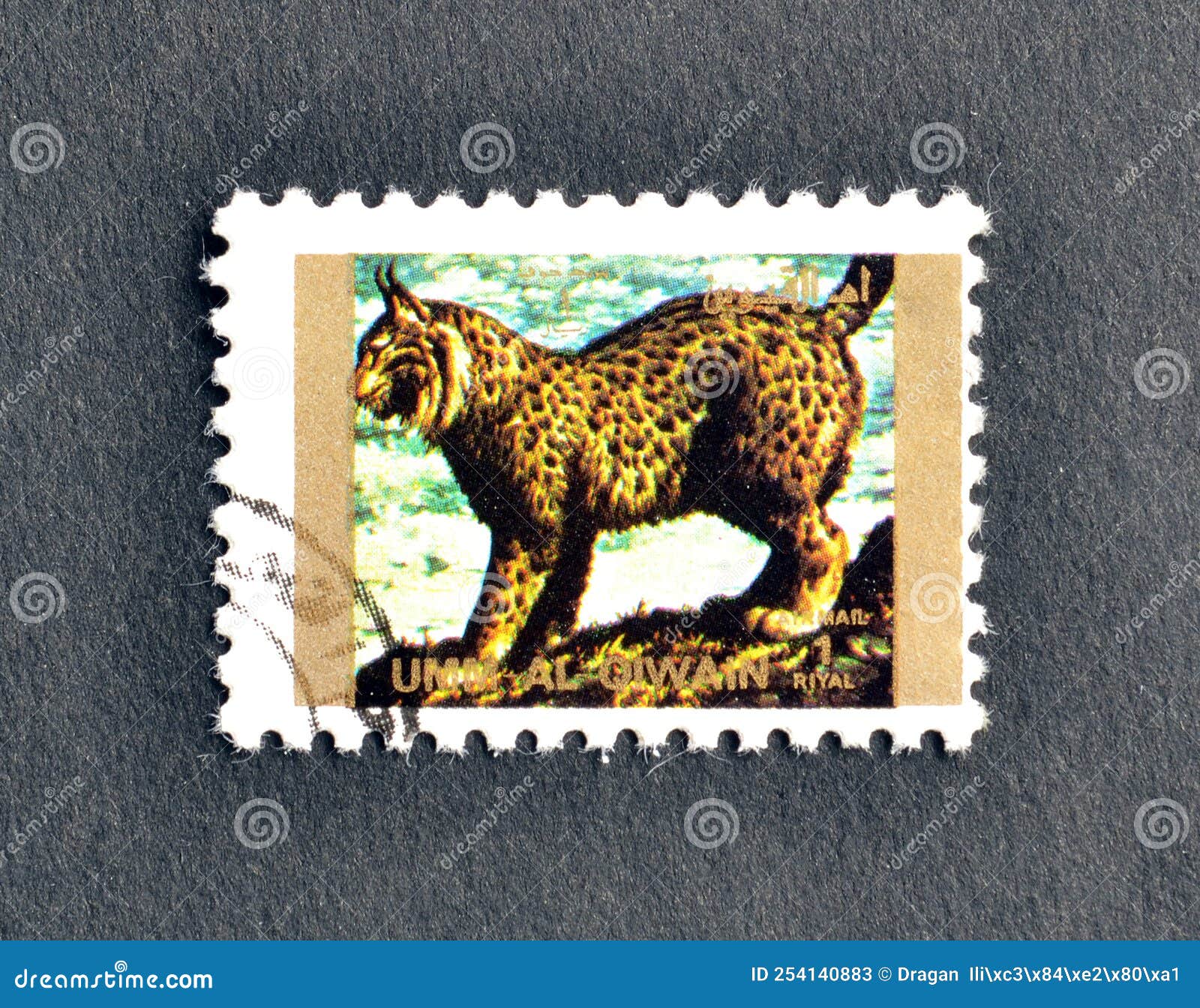 Cancelled Postage Stamp Printed by Umm Al-Qiwain, that Shows Lynx ... Cancelled Postage Stamp Printed by Umm Al-Qiwain, that Shows Lynx ...
