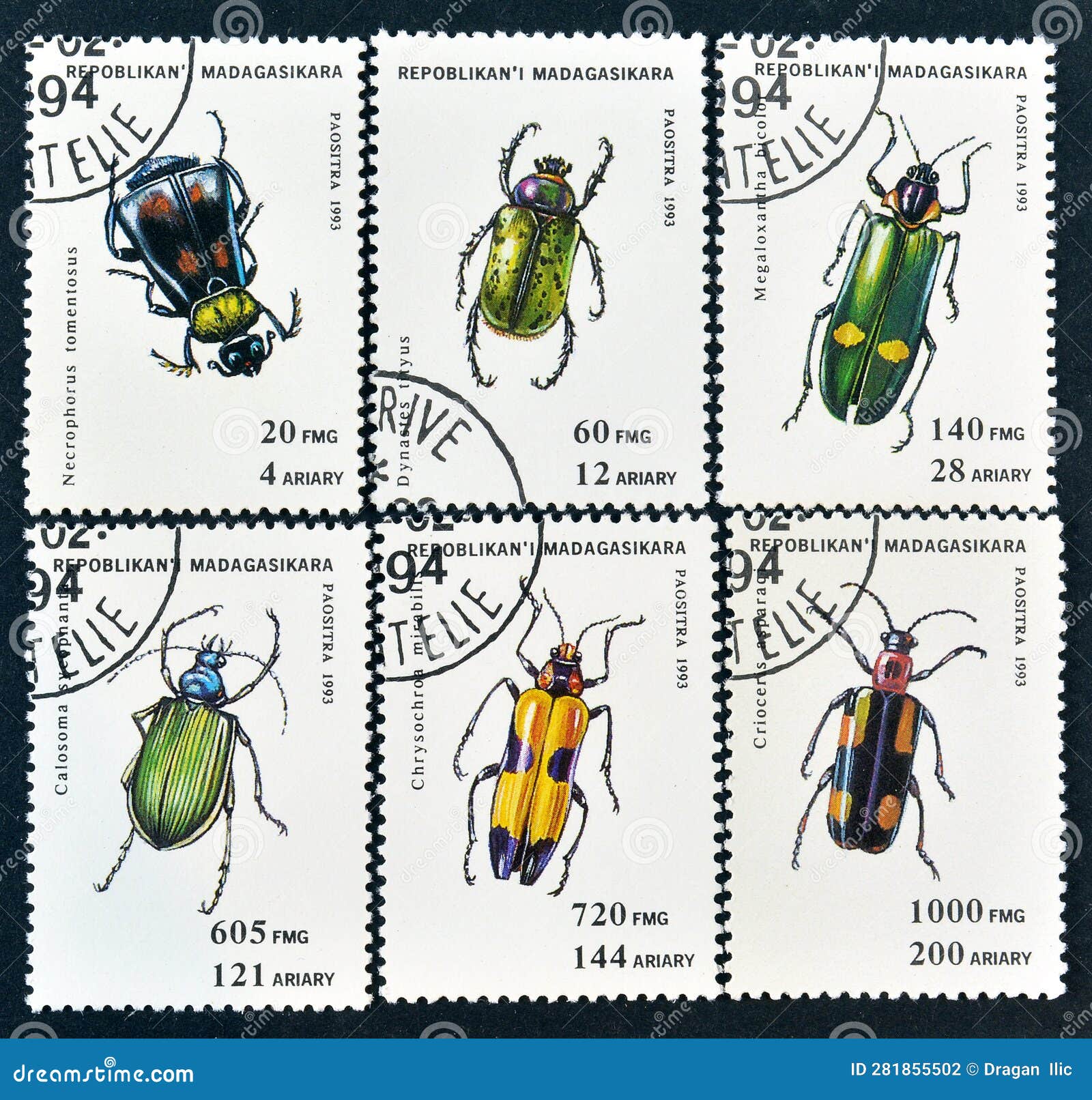 Beetles On Postage Stamps Editorial Image | CartoonDealer.com #141992278