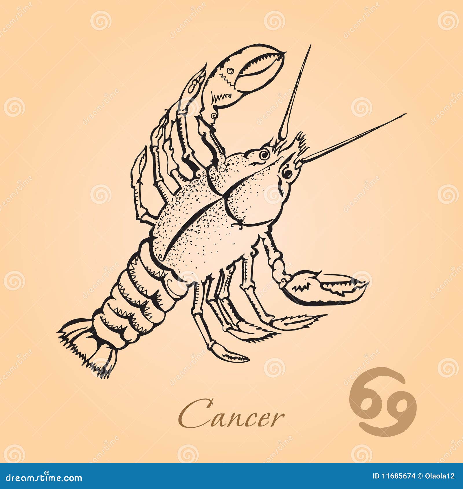 Cancer stock vector. Illustration of drawing, sign, astrology - 11685674
