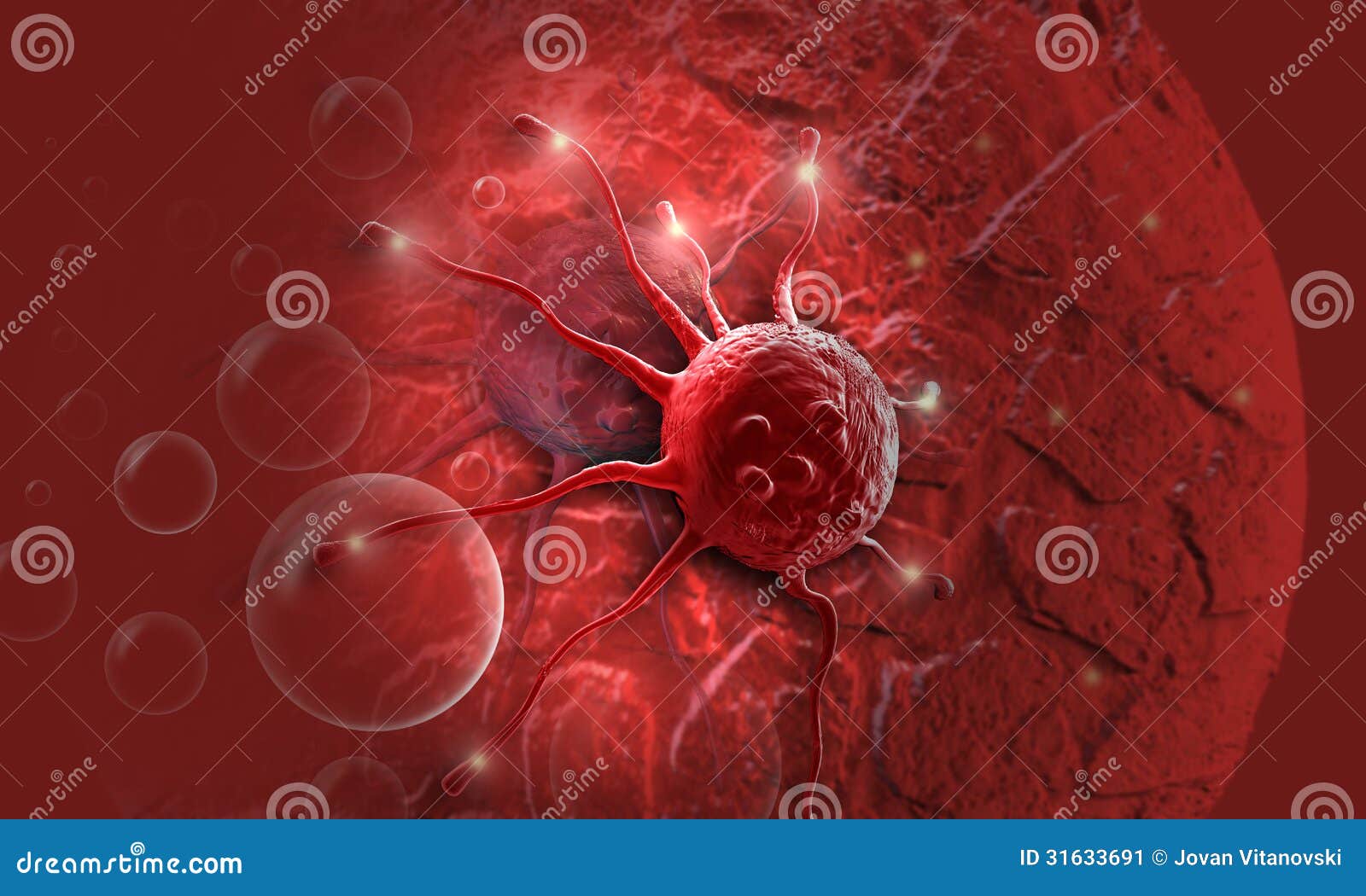 Cancer Cell Development Entire Mechanism Including Angiogenesis ...