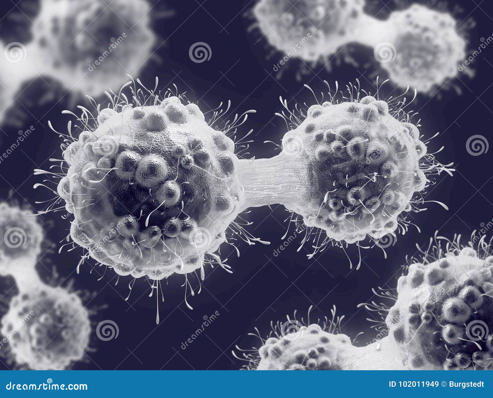 A Cancer Cell in the Process of Mitosis Stock Illustration ...