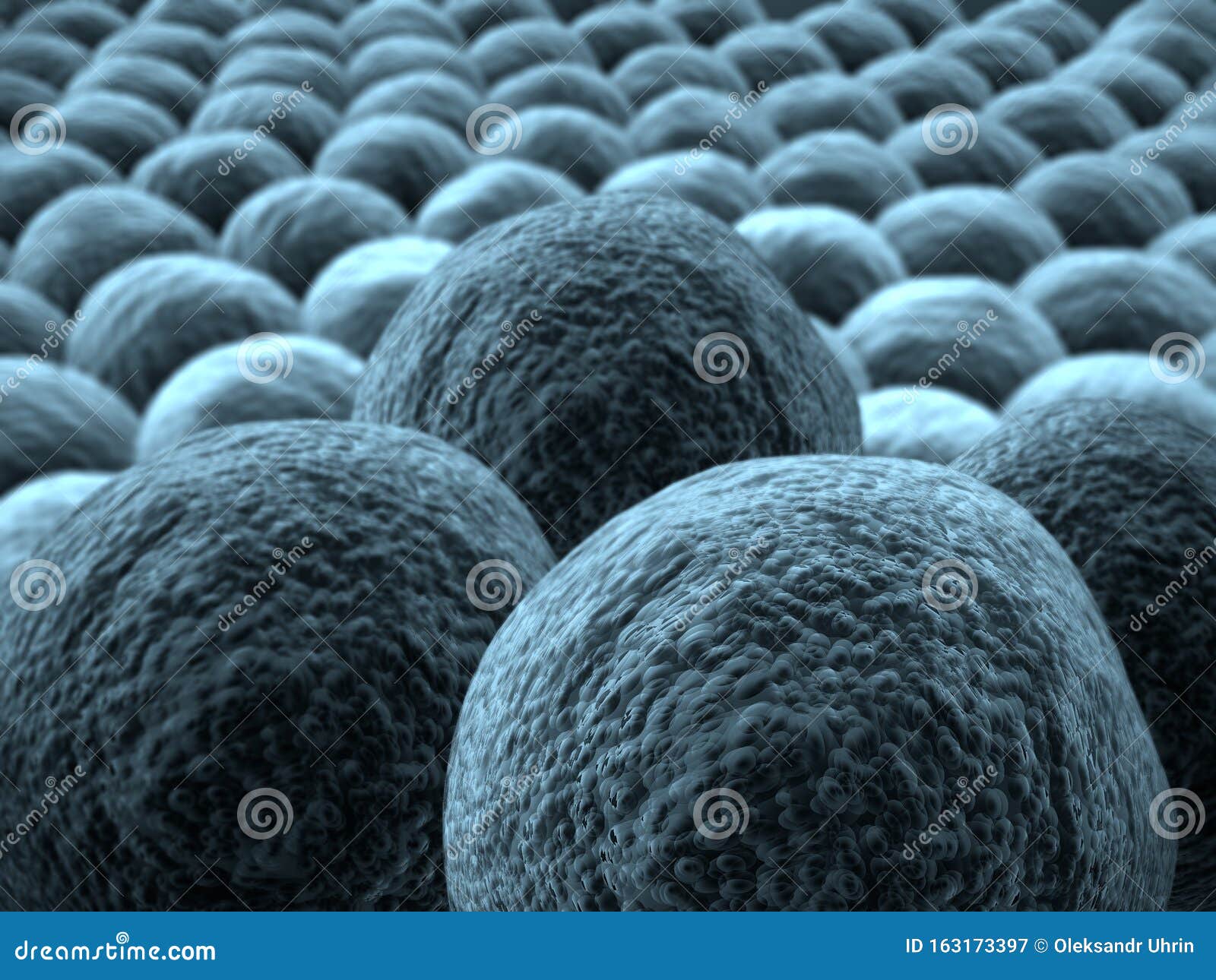 Cells Of Living Things. Biology And Root Of The Plant Under A ...