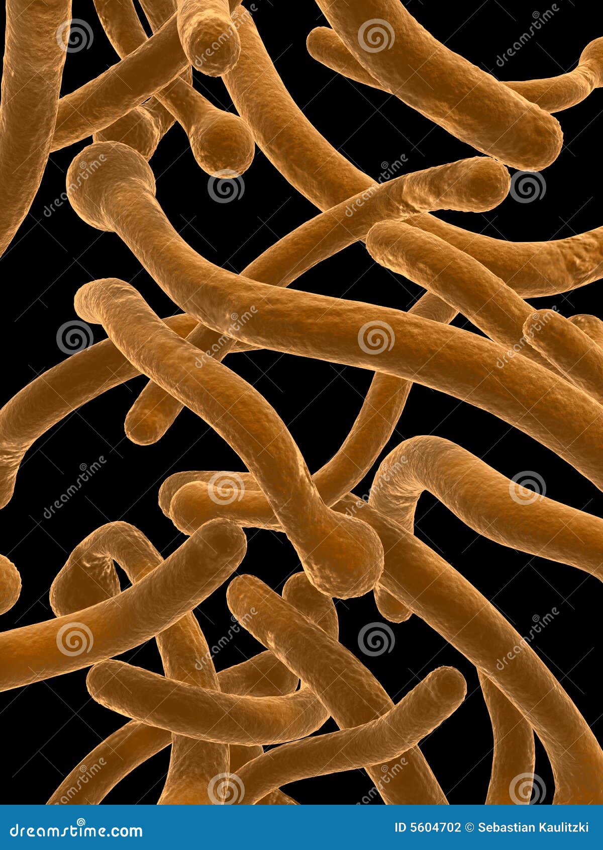 Candida Albicans Cartoon Educational Fungus Vector Graphic ...
