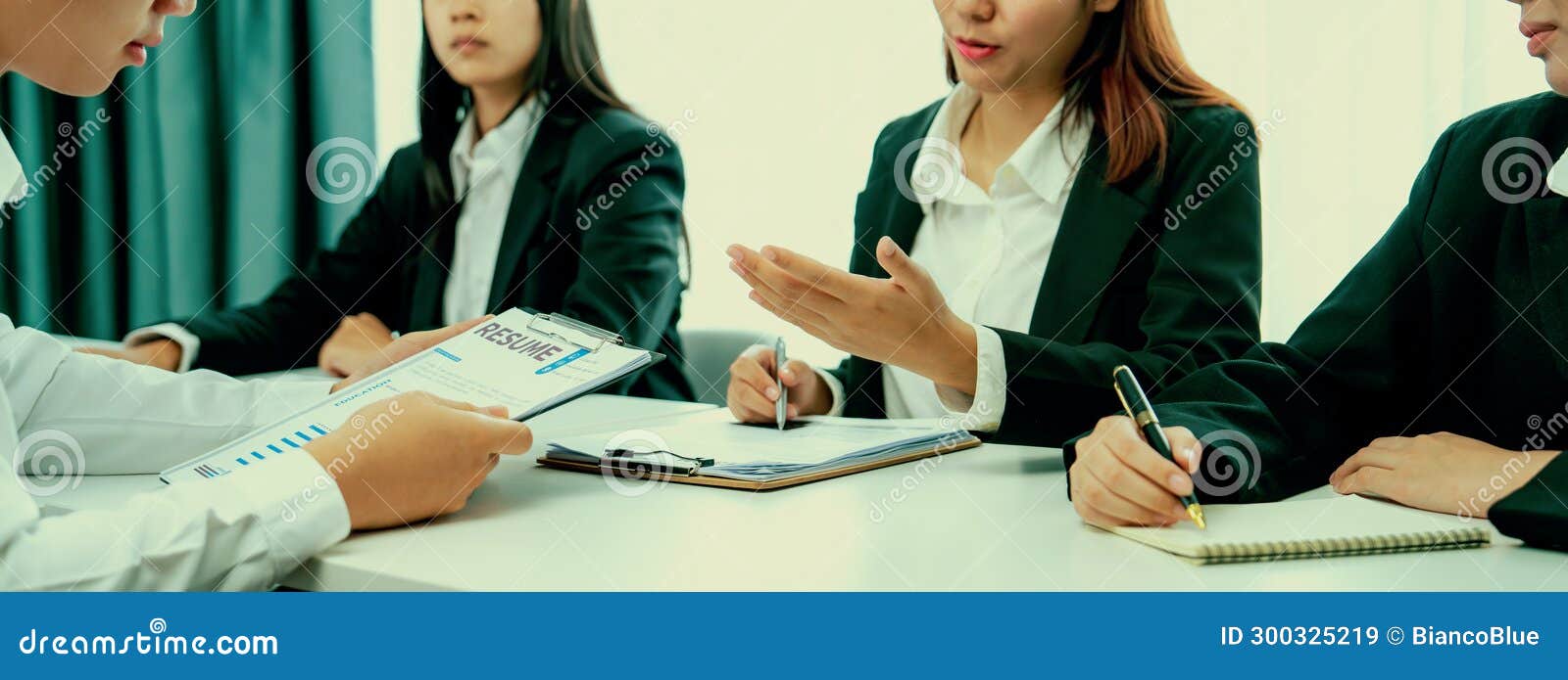 Candidate in Job Interview with Human Resources Manager Oratory ...