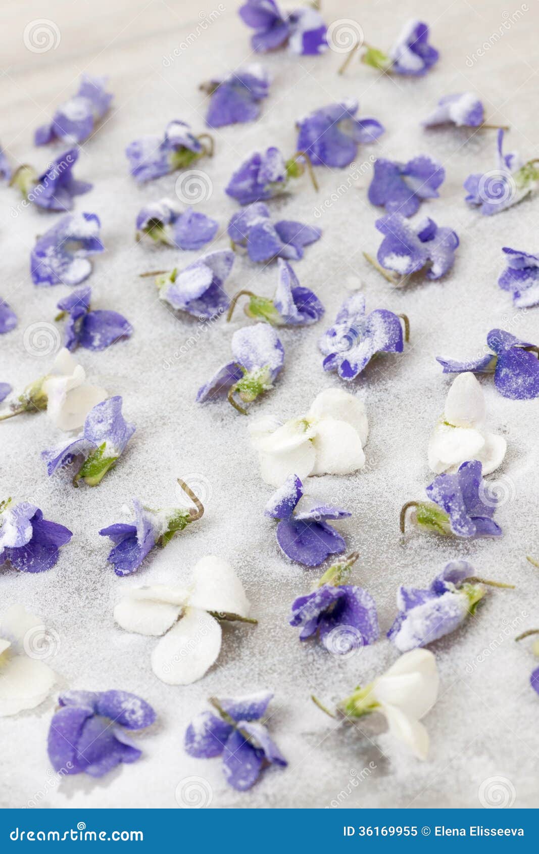 Candied violets stock image. Image of preserved, candy - 36169955