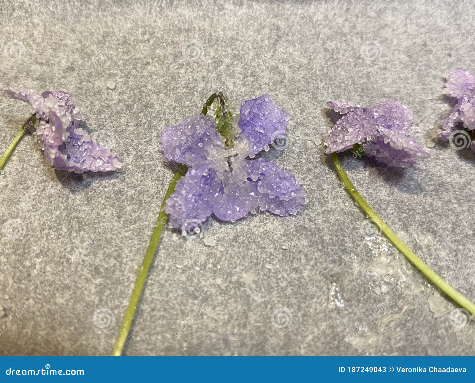Candied Violets on White Paper Stock Image - Image of candiedflower ...