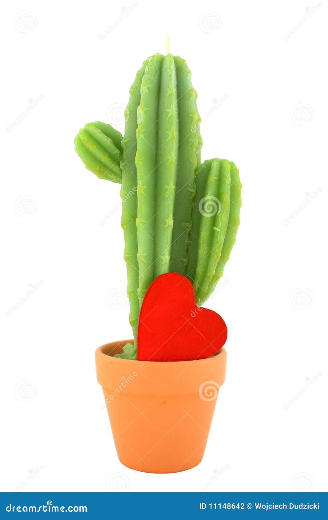 Candle cactus stock photo. Image of white, valentin, heart - 11148642