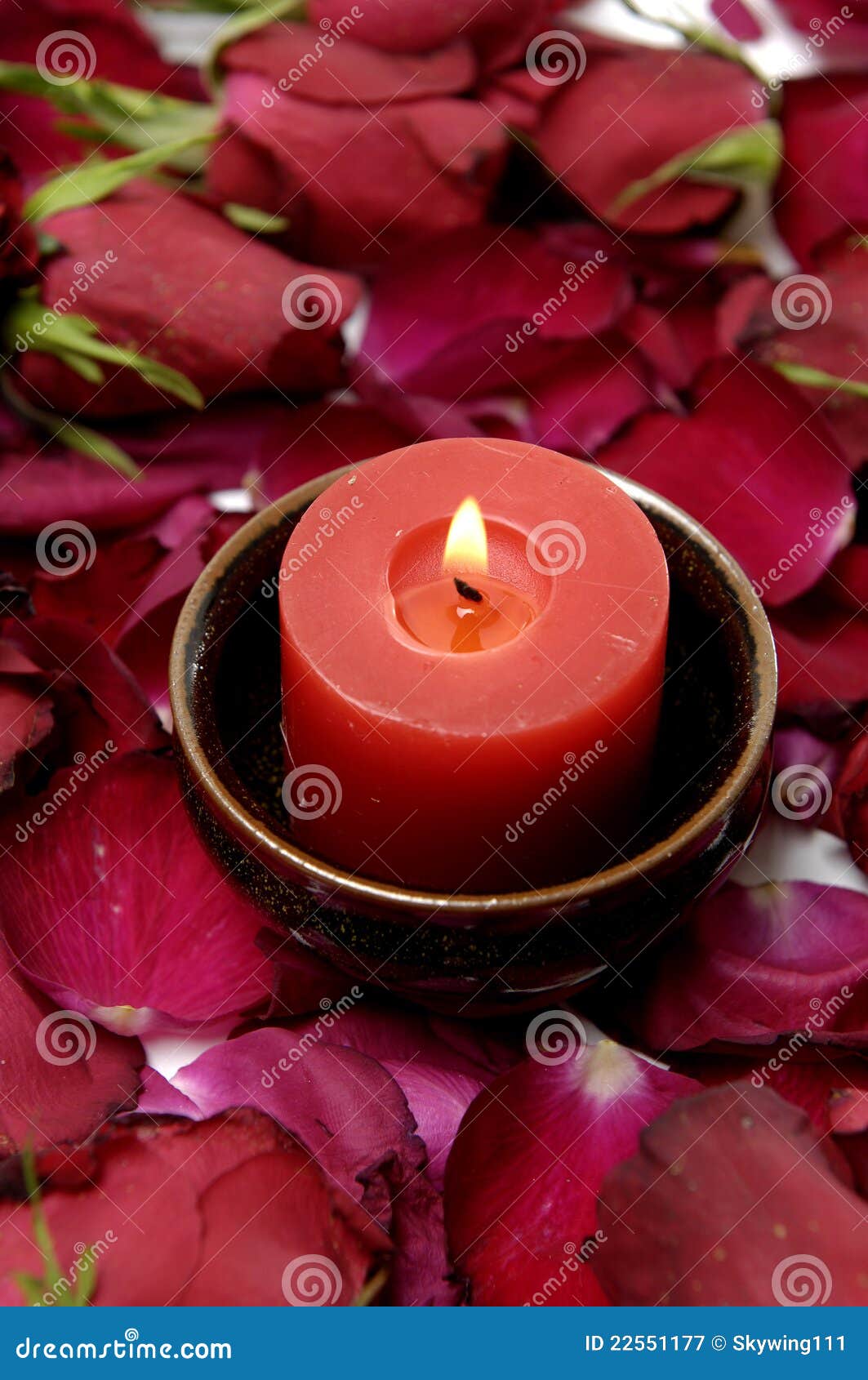 Candle Light with Roses stock image. Image of bowl, botanic - 22551177