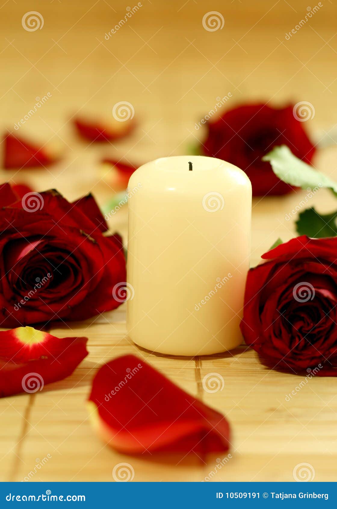 Candle and roses. stock image. Image of life, therapy - 10509191