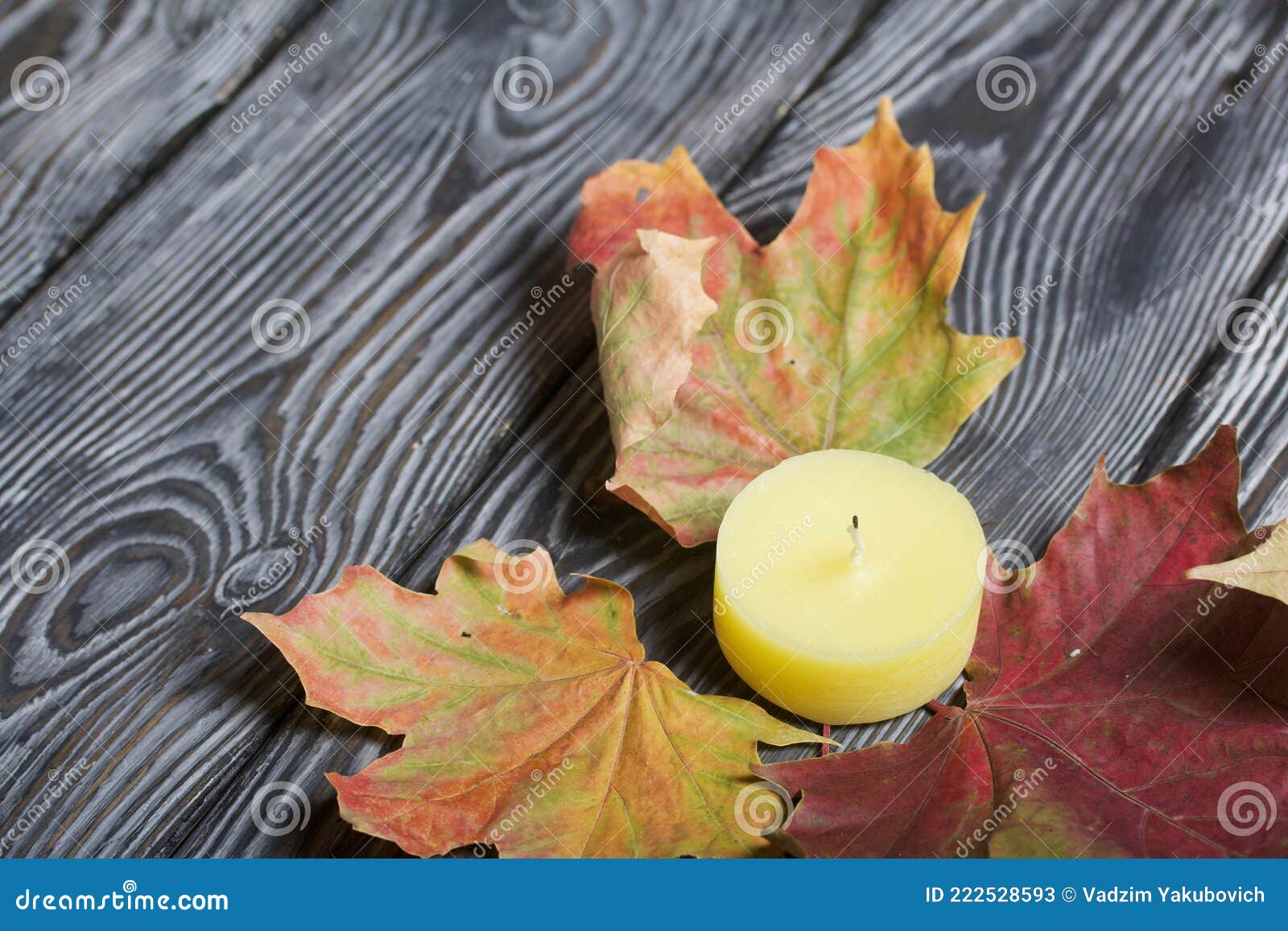 Candle Stub. among the Autumn Maple Leaves Stock Image - Image of ...