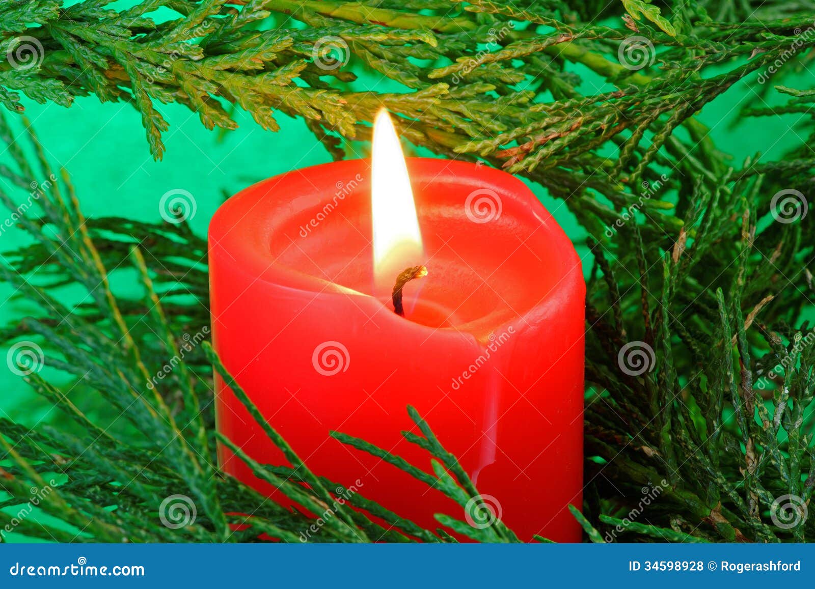 Candle in a Tree stock photo. Image of noel, happy, december - 34598928