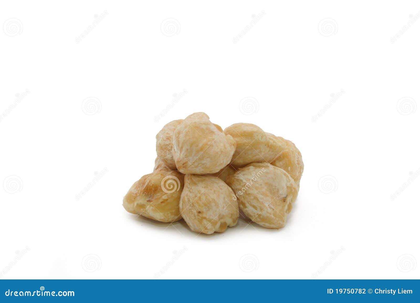 Candlenut photo stock. Image du santé, médecine, potage - 19750782