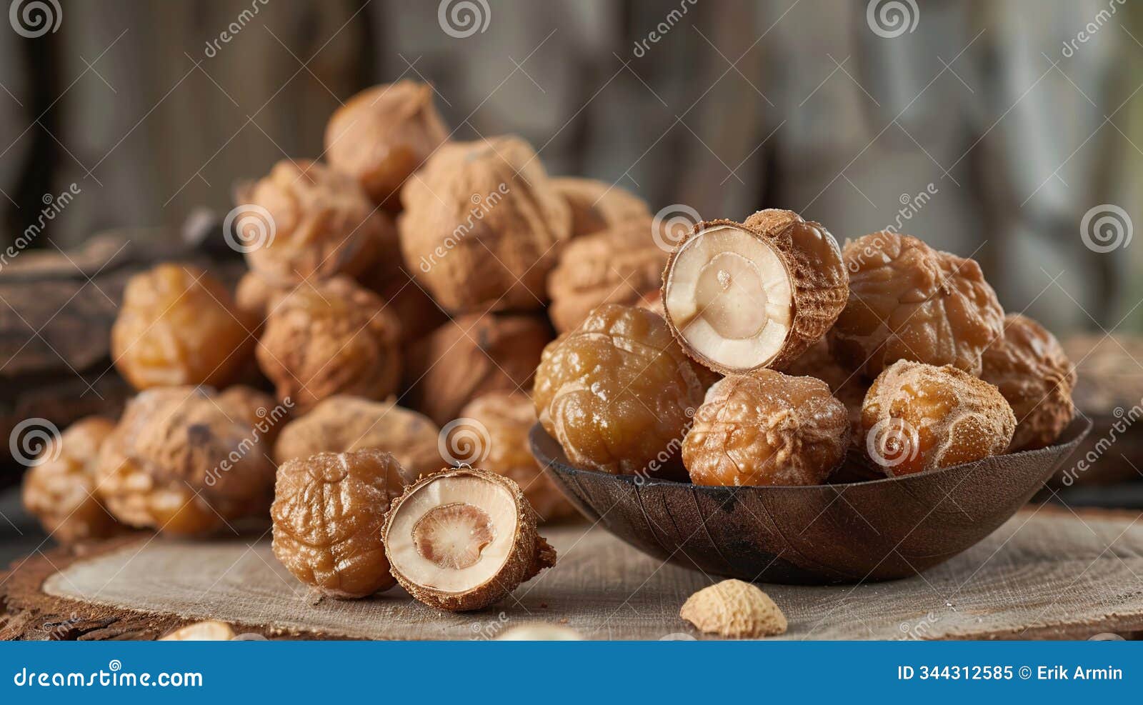 Candlenut Also Known As Kemiri Stock Illustration - Illustration of ...