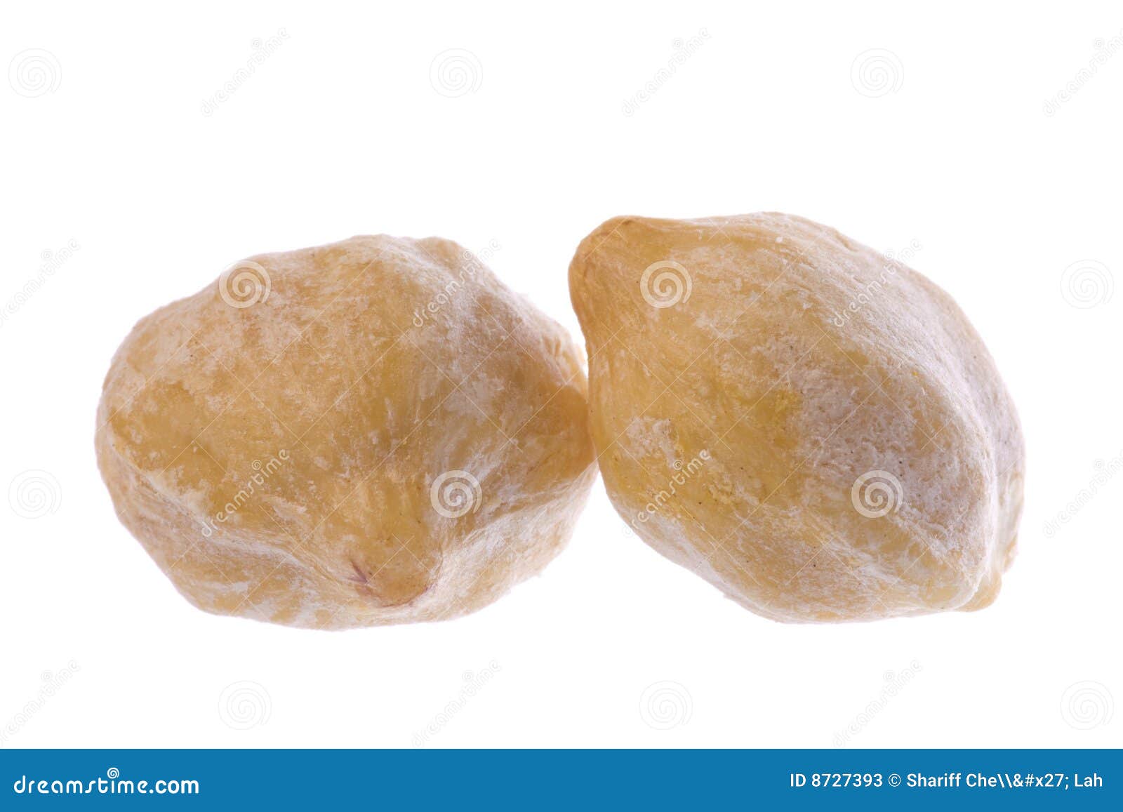 Candlenuts Isolated stock image. Image of isolated, beauh - 8727393