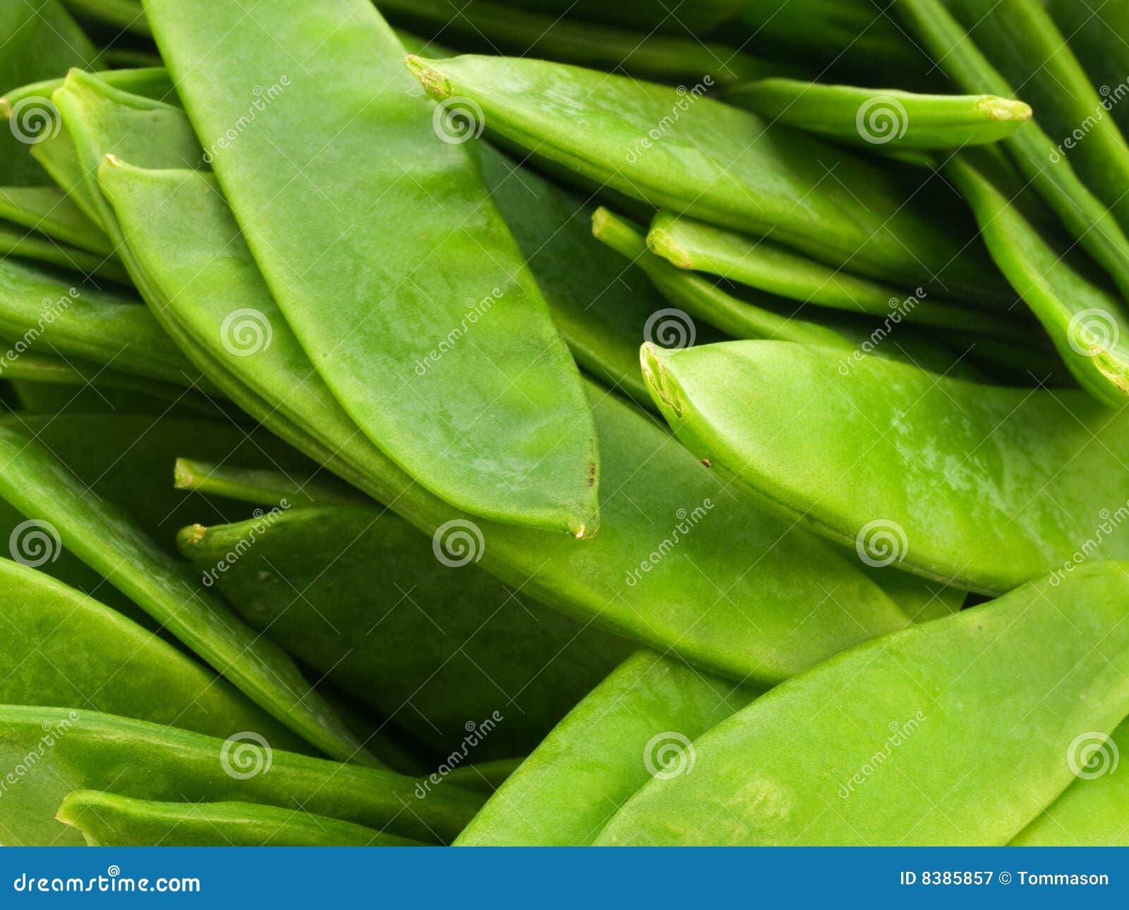 Candonga de Mange imagem de stock. Imagem de vegetal, verde - 8385857