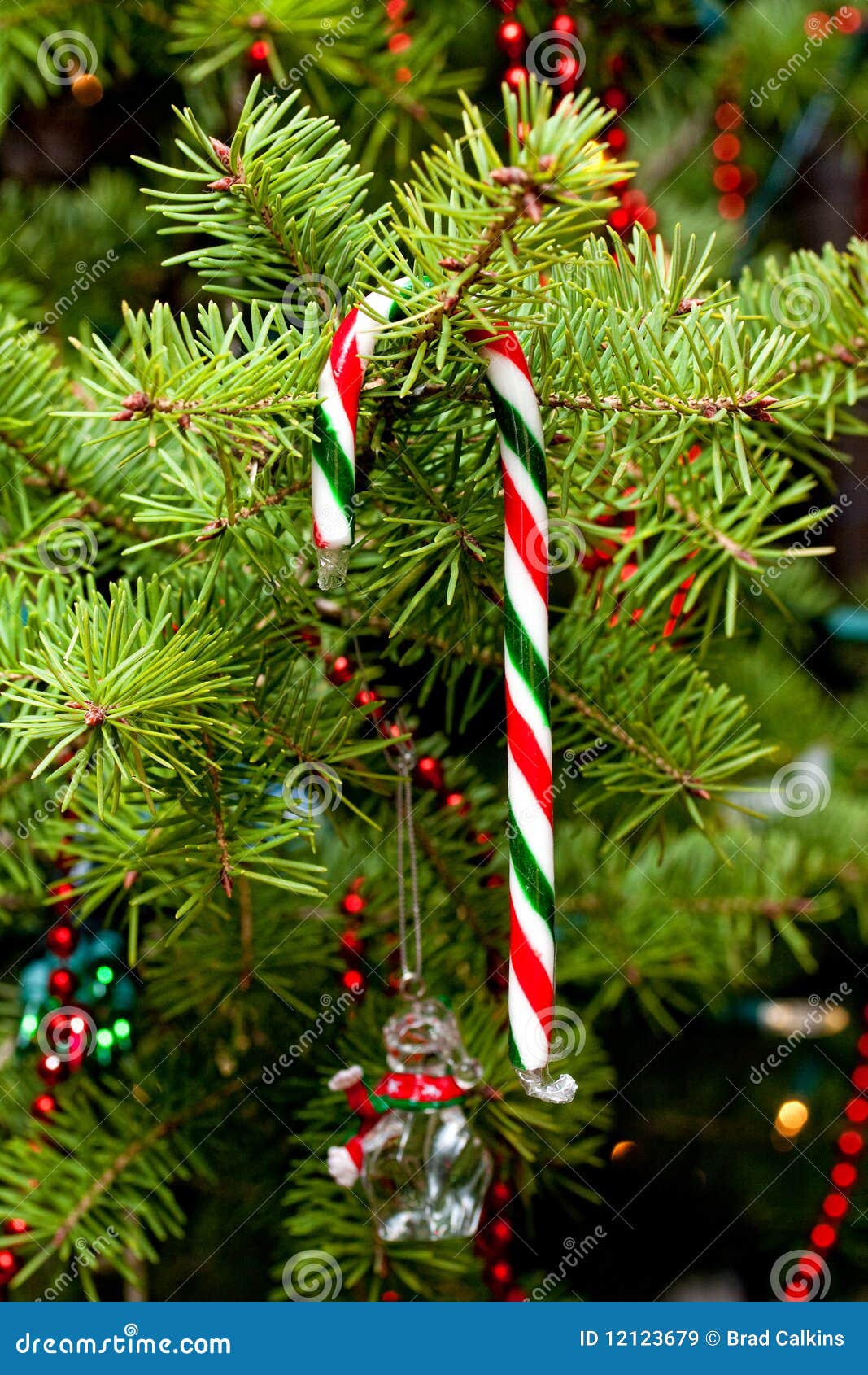 Candy cane stock image. Image of green, christmas, candy - 12123679