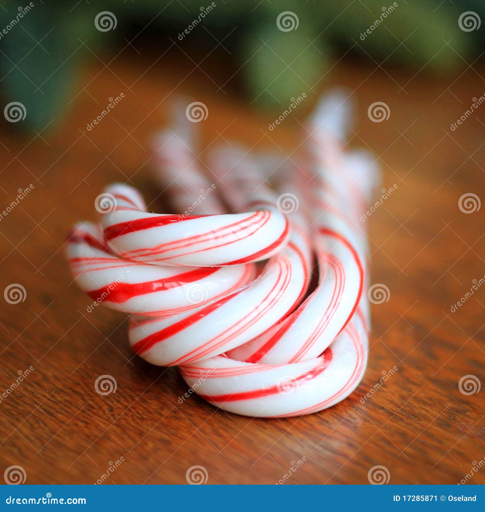 Candy Cane Closeup stock image. Image of christmas, closeup - 17285871