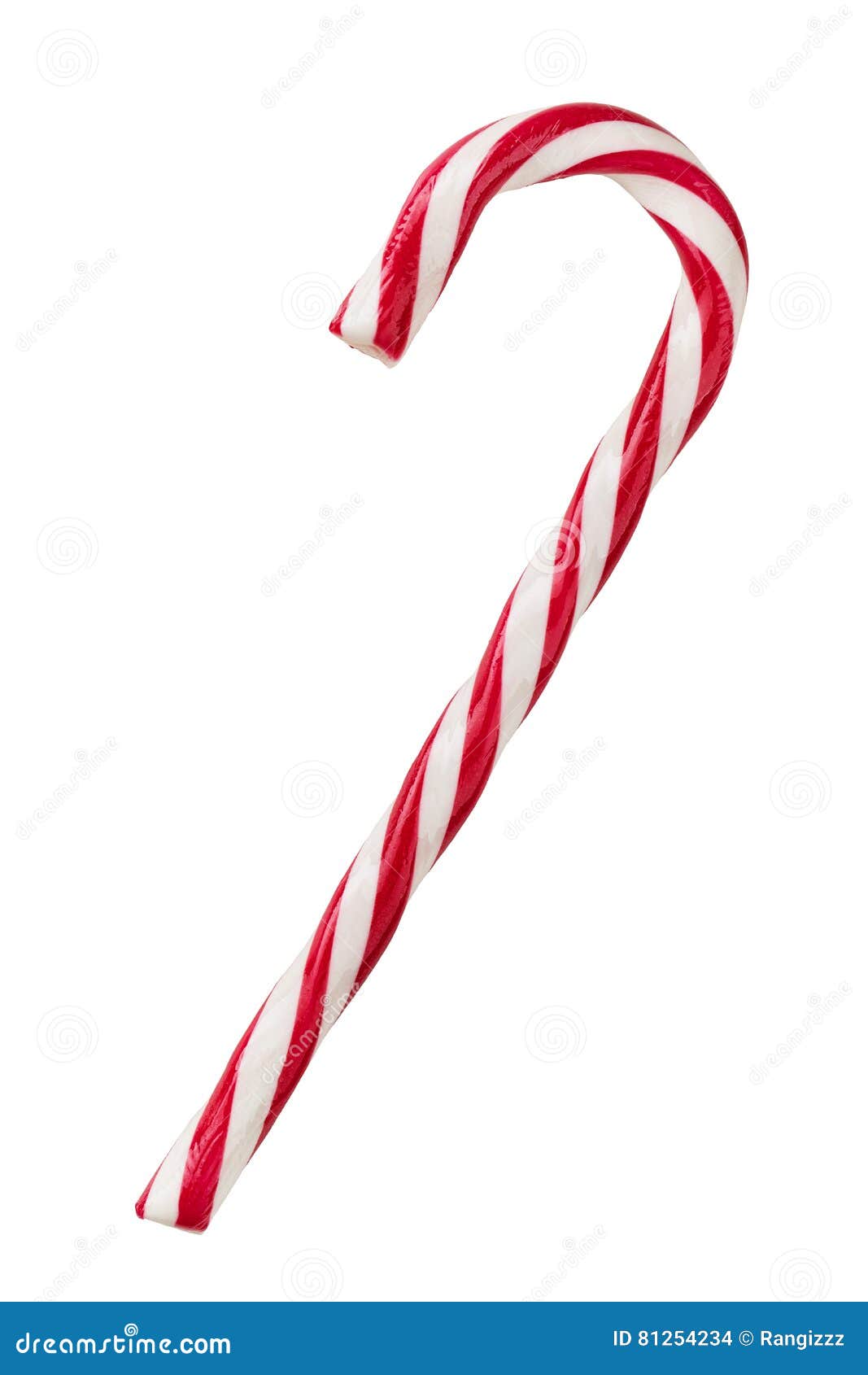 Dry Cane Isolated On White Background, Top View. Dry Reed Isolated On ...