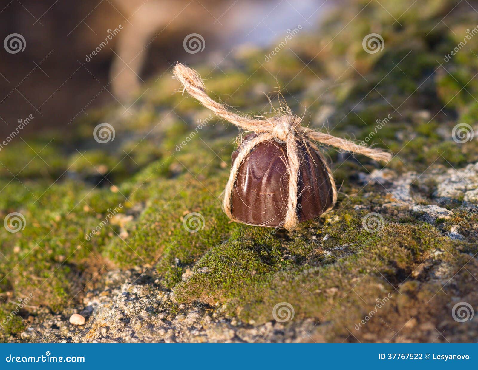 Candy Cane Tied with Twine on Natural Moss Stock Photo - Image of tied ...