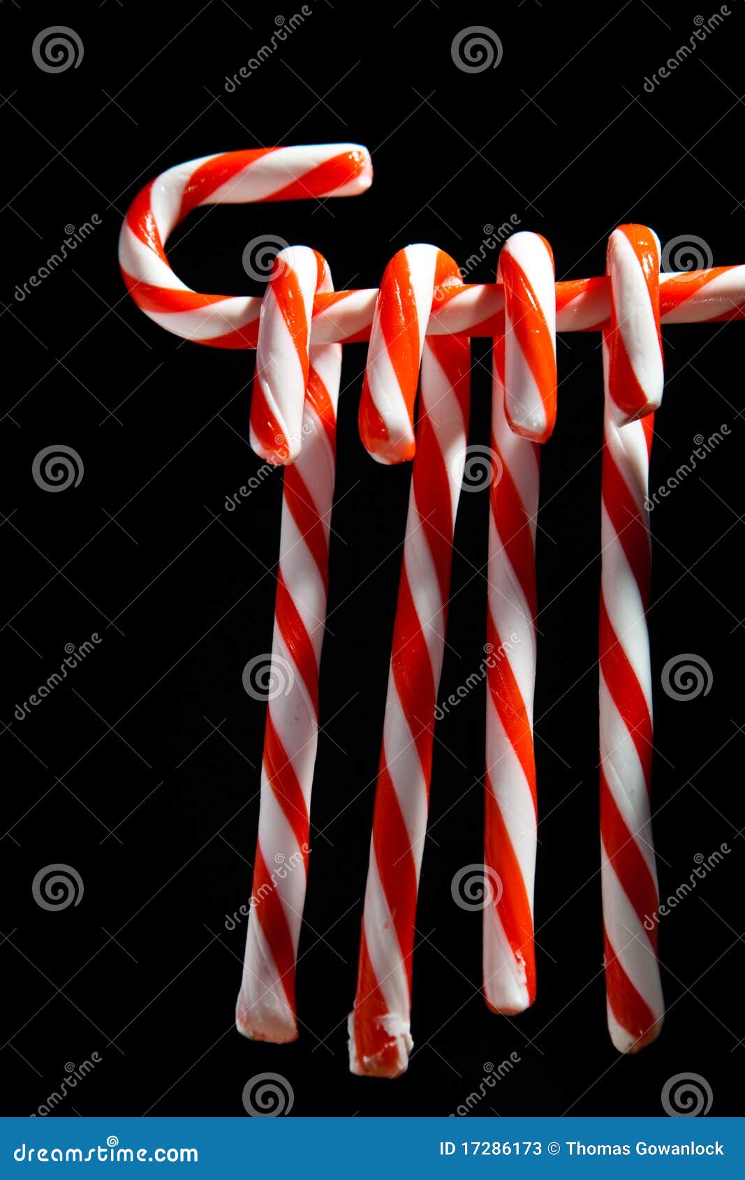 Candy canes stock image. Image of candy, celebration - 17286173