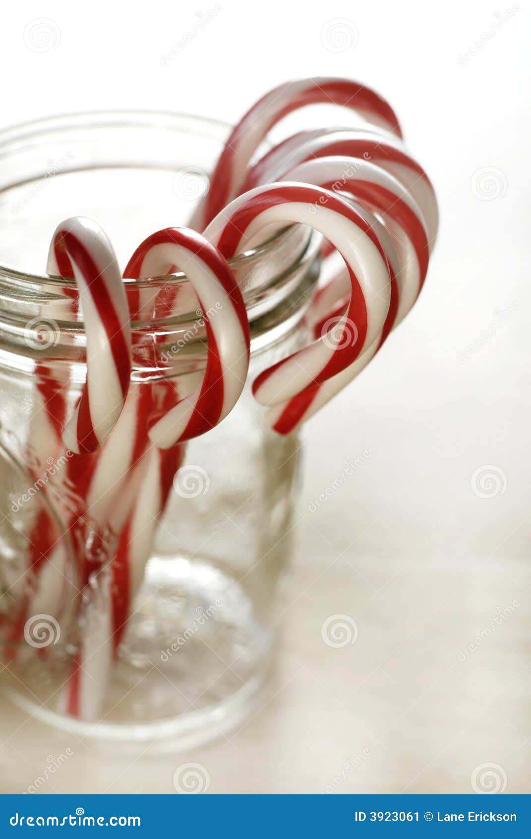 Candy Canes stock image. Image of wonder, flavoring, peppermint - 3923061