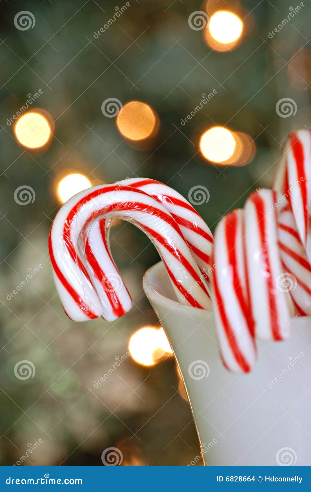 Candy canes stock photo. Image of copy, studio, canes - 6828664