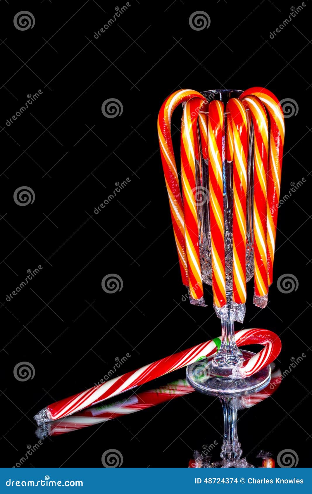Candy Canes from Christmas Unique Display Stock Photo - Image of candy ...