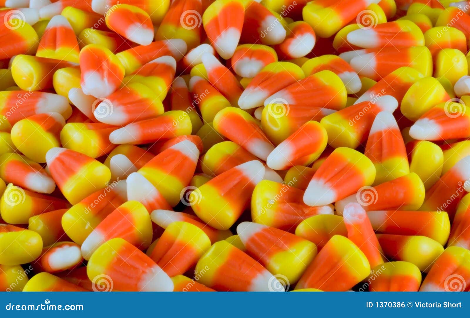 Corn Alpha Stock Photos - Free & Royalty-Free Stock Photos from Dreamstime