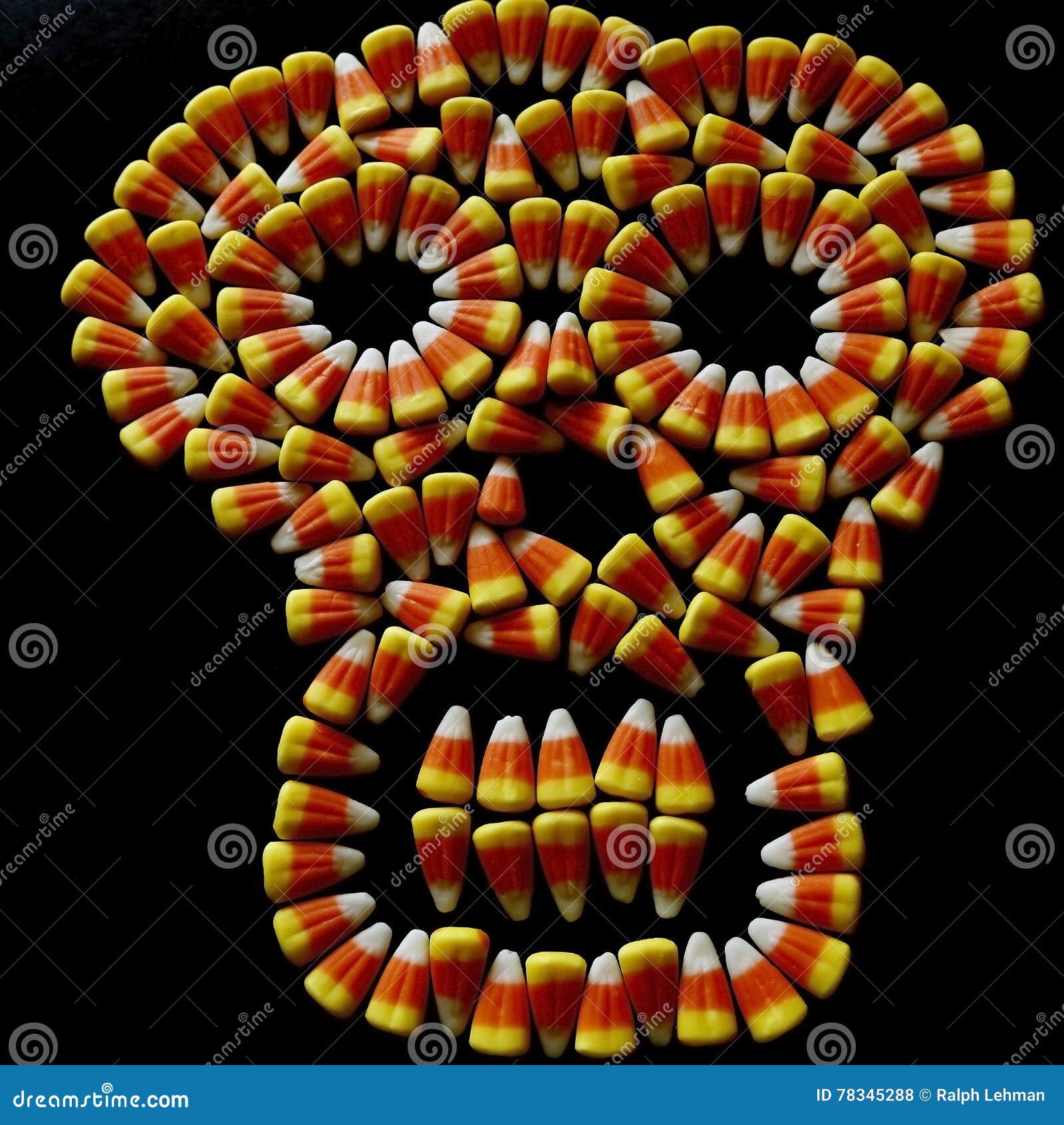 306 Corn Skull Photos - Free & Royalty-Free Stock Photos from Dreamstime